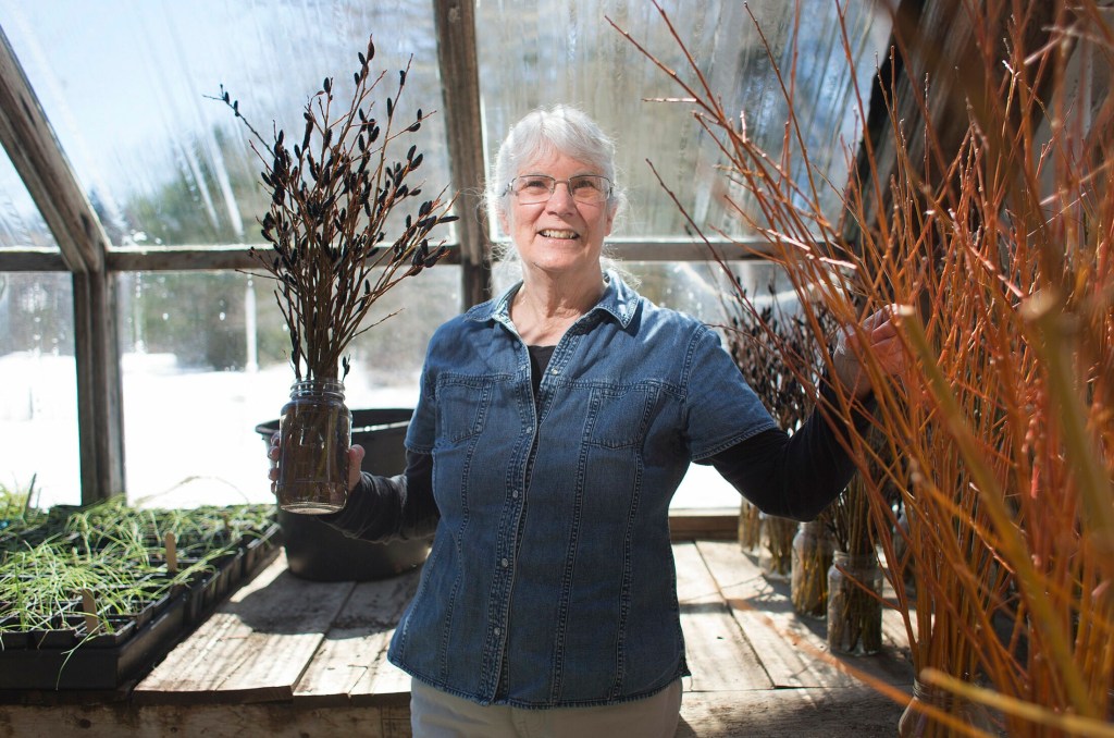 The Pollinator: Jean English has quietly dedicated herself to ...