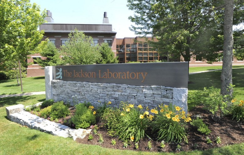 Jackson Lab lands $1.8M grant from Michael J. Fox Foundation