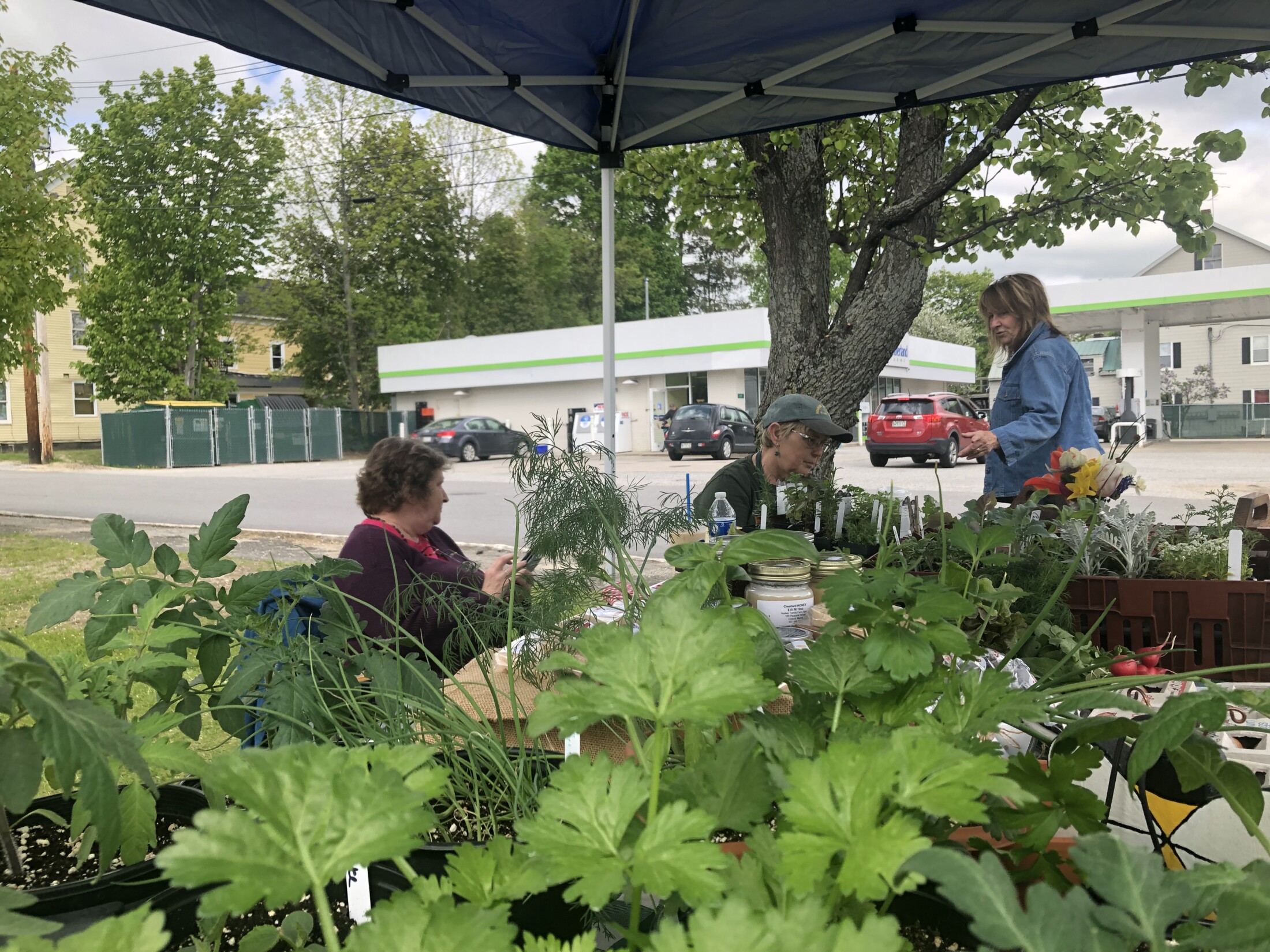 Farmers market opens in Norway