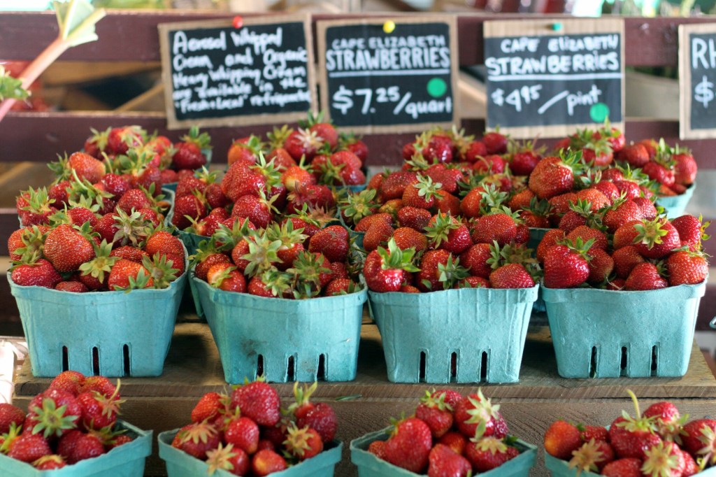 Mother Nature blows Cape Elizabeth strawberry lovers a raspberry