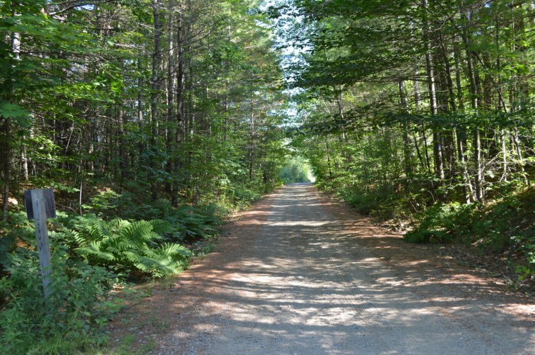 Sections of Whistle Stop Trail in Jay will remain partially closed