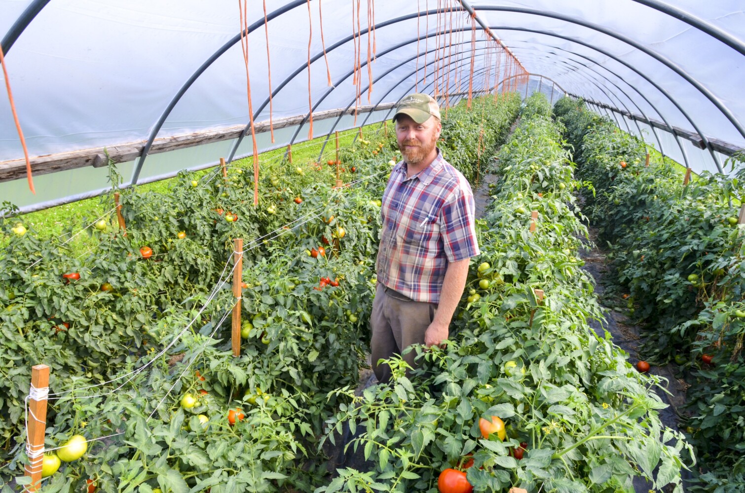 GALLERY: Emery Farm - Kennebec Journal and Morning Sentinel