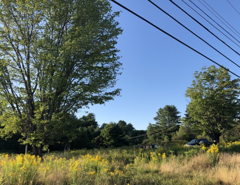 Wilton approves application for new CMP substation