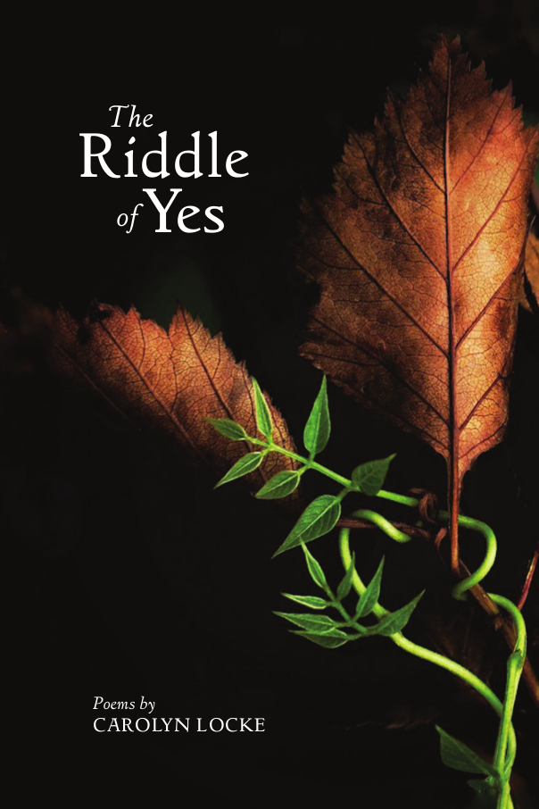 OFF RADAR: Fiction, nonfiction and poetry from Maine writers