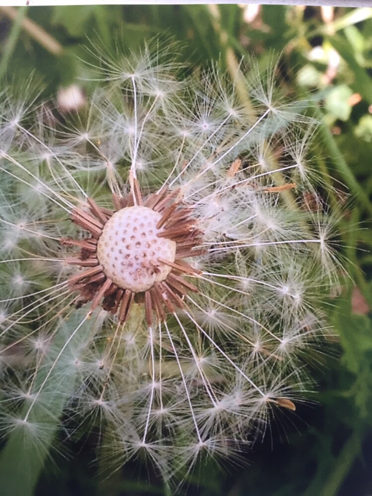 WHA Rotating Art Gallery at CMMC to feature painter, photographer