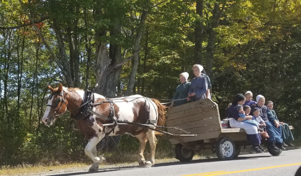Maine’s Amish community expands into Wales; plans to renew farm lifestyle