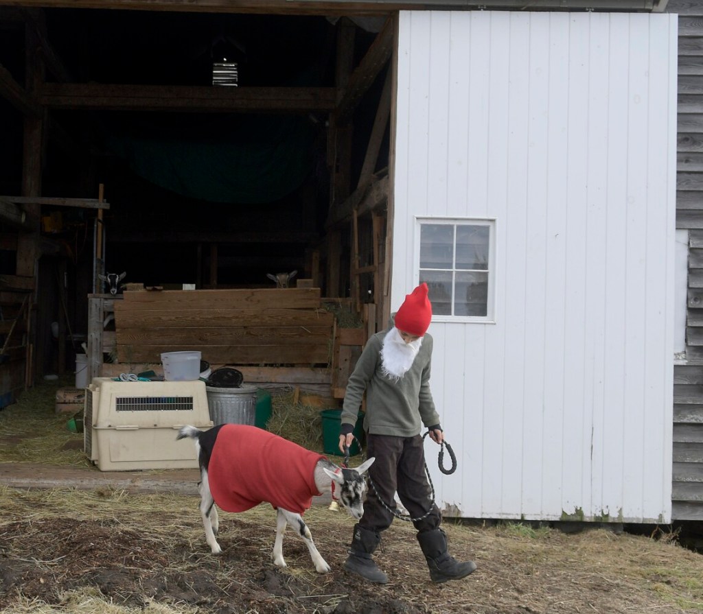 Somerville farm family holds Yule Goat celebration to support school in ...