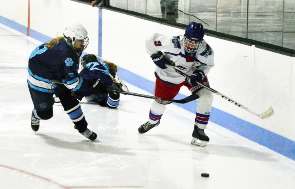 Bowdoin College hockey rink may not be available for high school, youth ...