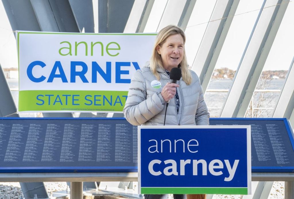 Rep. Anne Carney to run for Maine Senate District 29