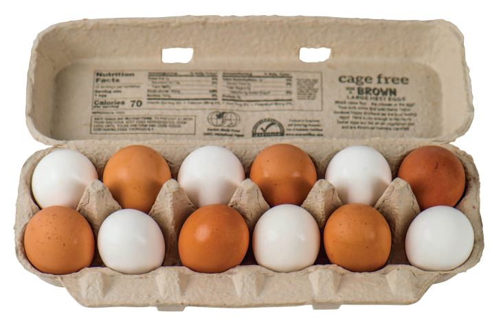 Scrappy Chef: The Incredible Egg…