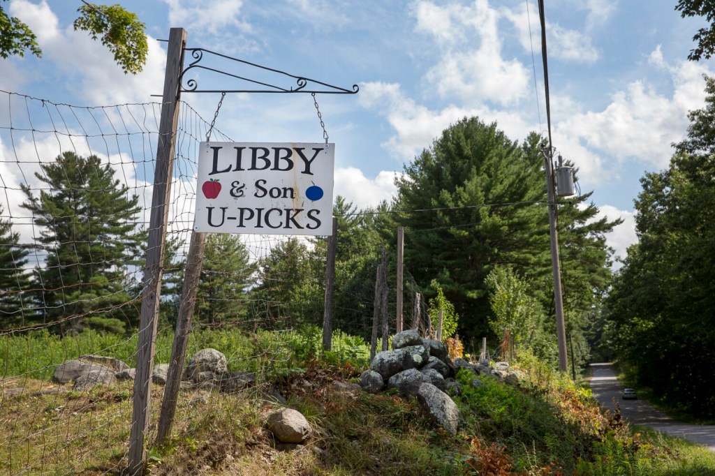 2 pick-your-own berry farms close in southern Maine