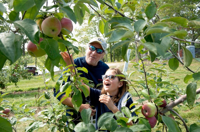 More than a dozen orchards celebrate 20th Maine Apple Sunday