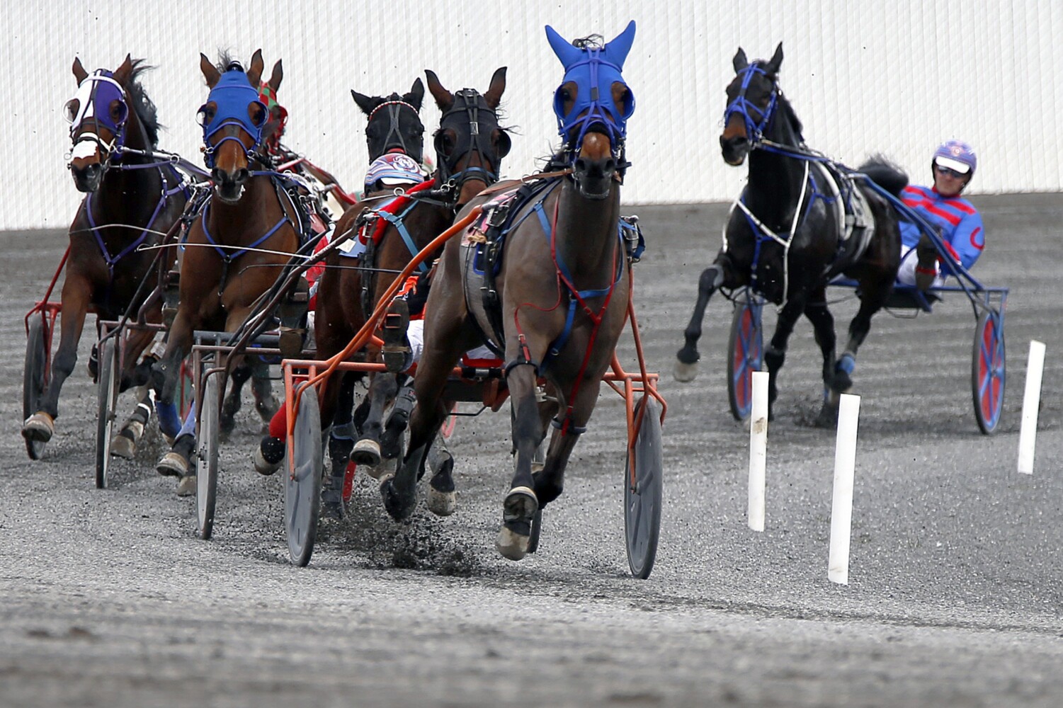 Scarborough Downs will halt live horse racing this month, ending a 70 ...