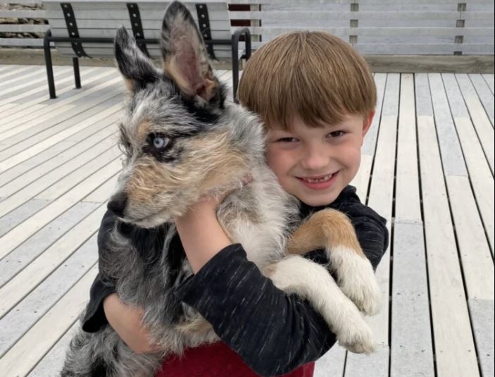 Woolwich boy, 6, raises $2,000 for Brunswick-area animal shelter