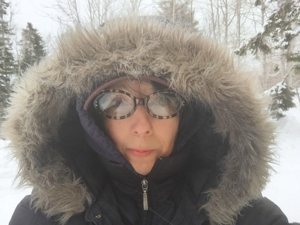 Artist Nancy Andrews of Mount Desert wins prominent fellowship