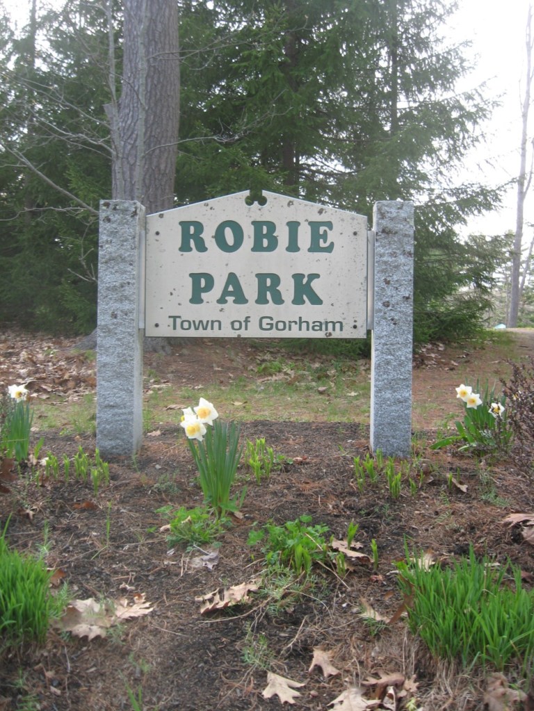 Group rolls out skatepark plan for Gorham