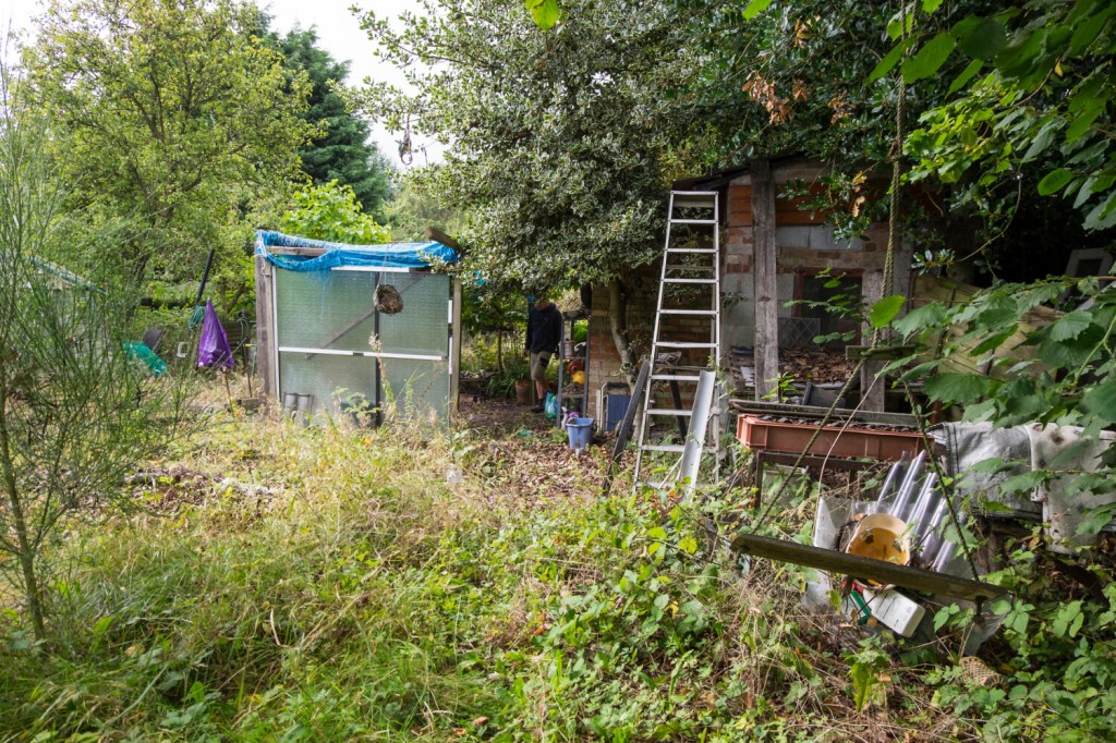 What to do, and in what order, when your garden is a mess