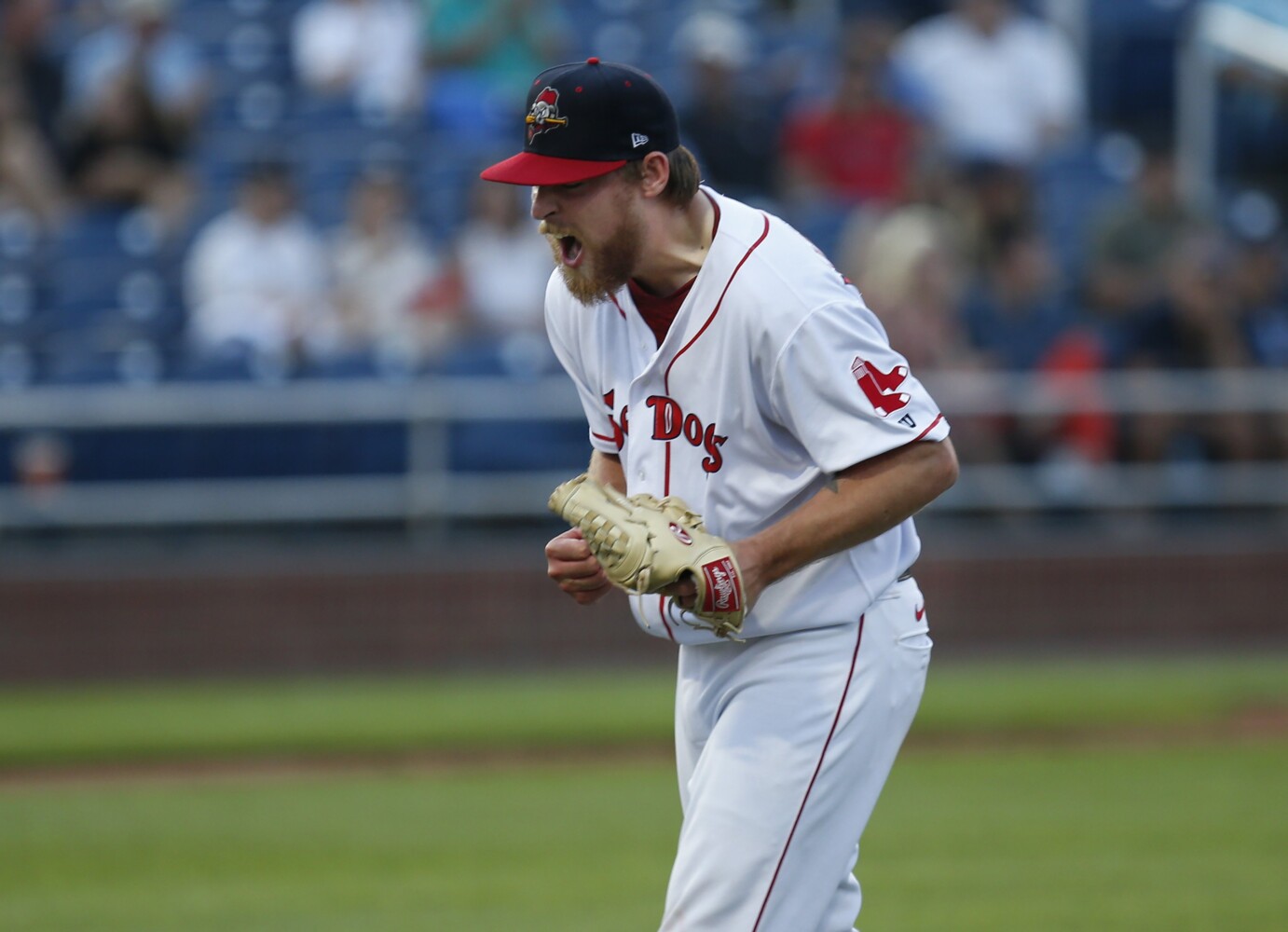 Sea Dogs rally past Yard Goats for a 4-3 win
