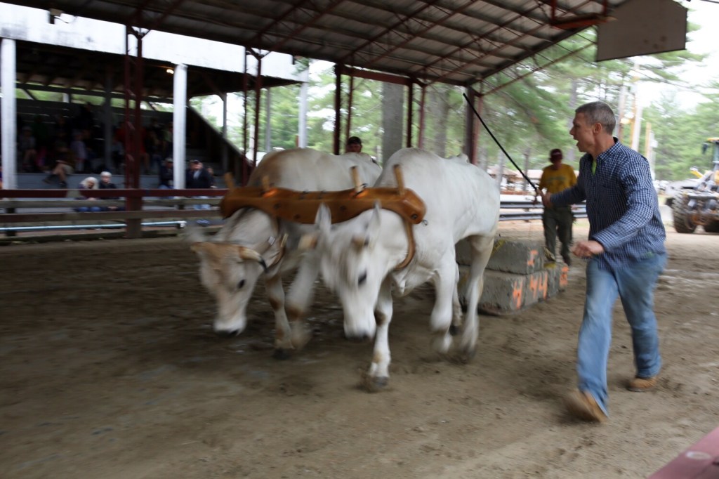 14 Maine fairs to help you explore the state this summer