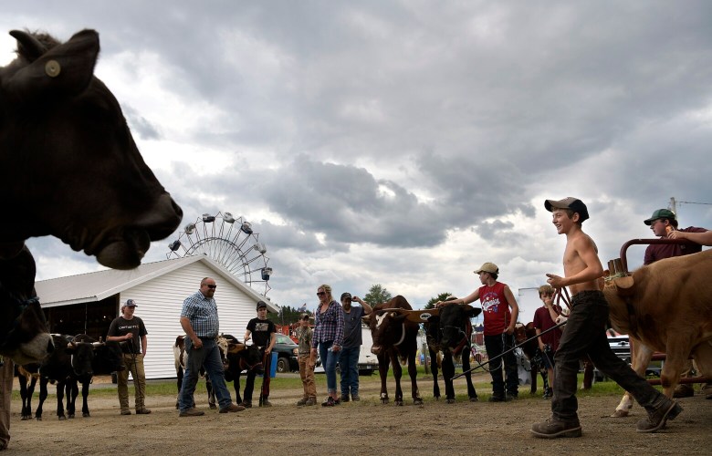 Pittston Fair to celebrate 70th year this weekend