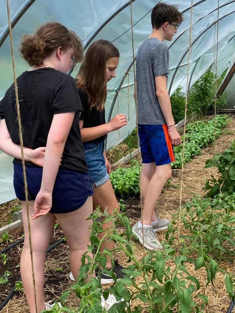 Alan Day Community Garden resumes youth leadership program