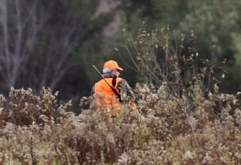 David Trahan: Question 3 gives us the right to hunt – and to a vegan diet