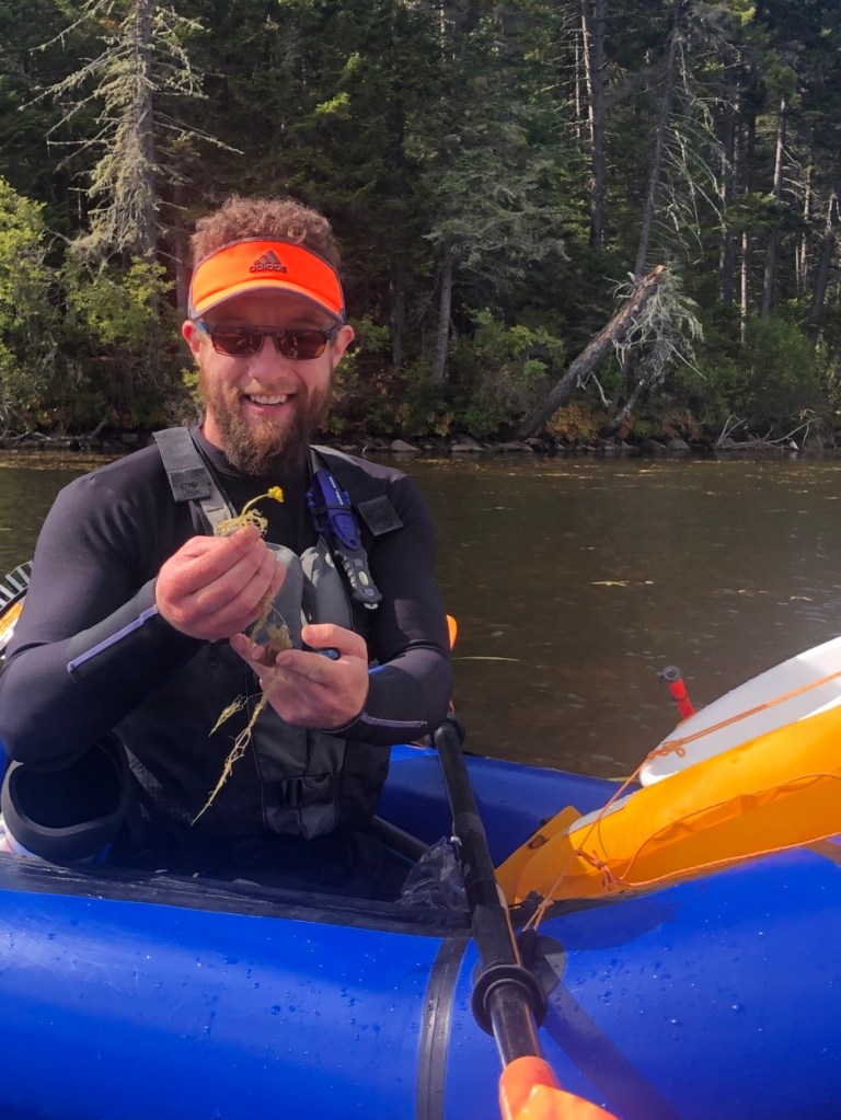 Over 100 Miles of Shoreline Surveyed for Invasive Plants