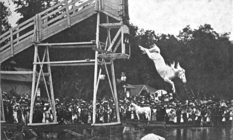 The strange, cruel spectacle of horse diving once drew big crowds in Maine