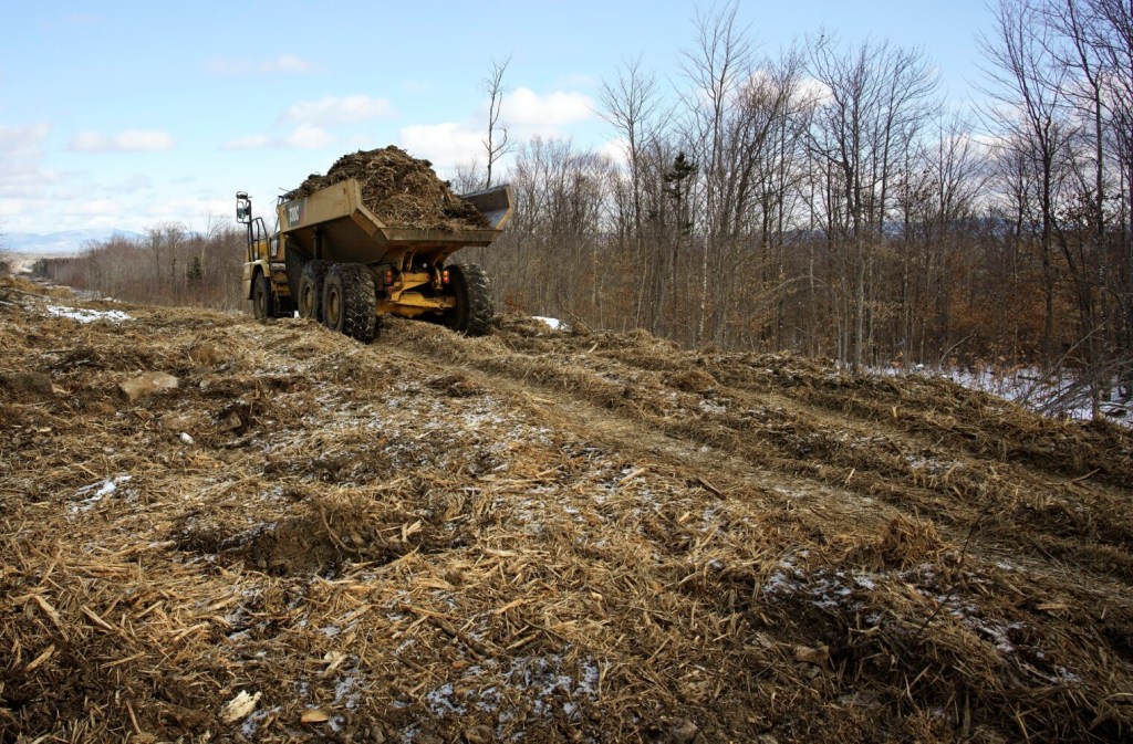 Judge denies request to continue work on NECEC transmission corridor