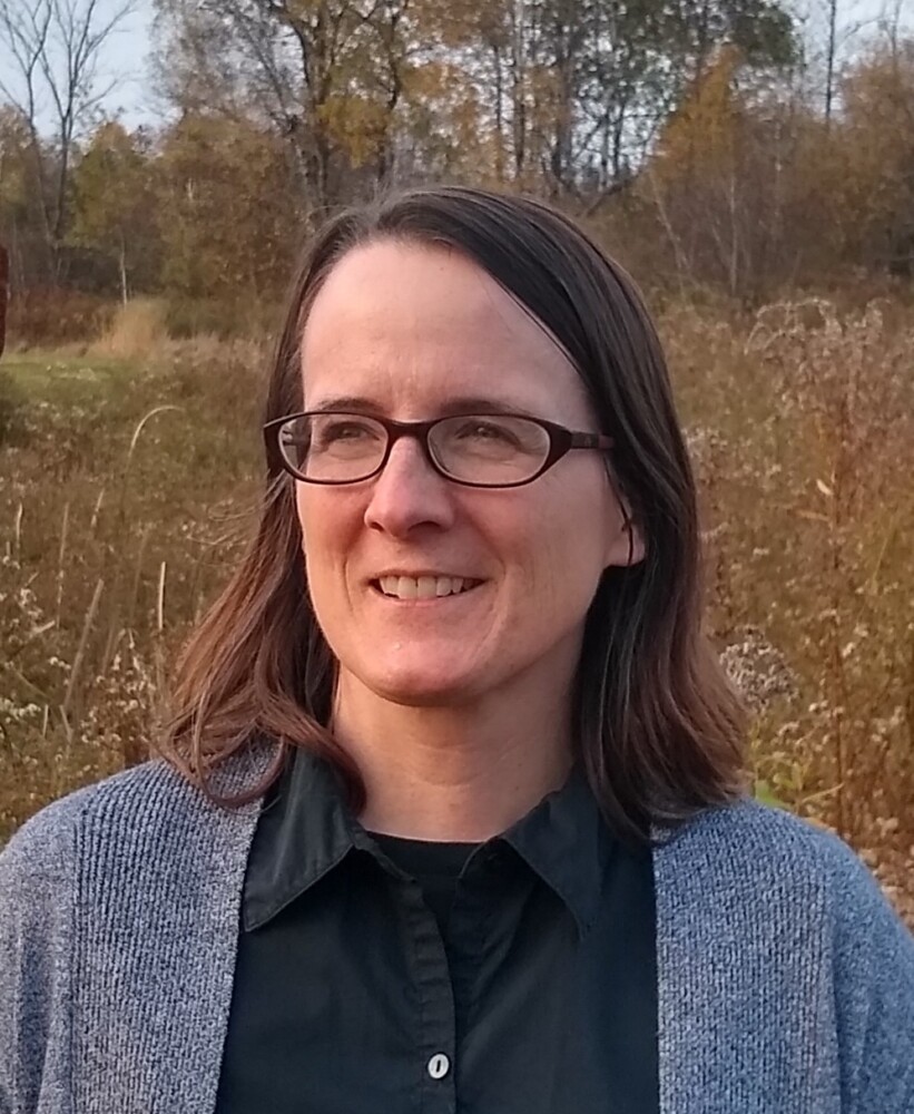 Camden center, library to offer walk through amphitheatre, park