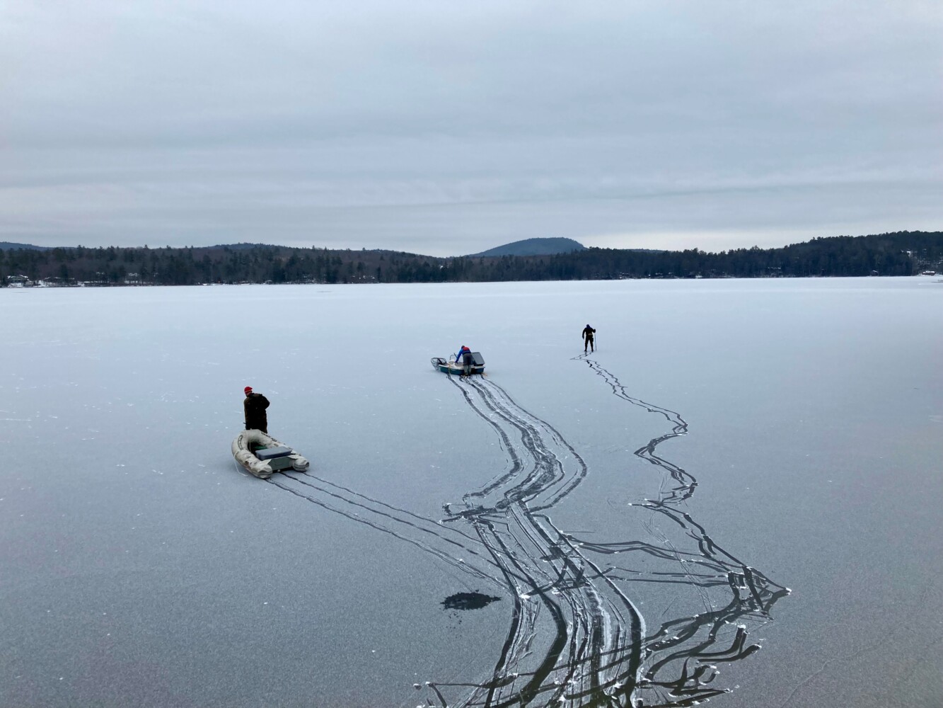 Team of biologists makes daring rescue of loons trapped in iced-in waters