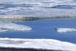 Congratulations Ice Out Contest Winners!