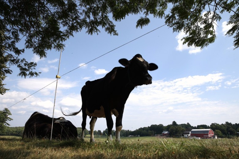 Letter: Help keep Smiling Hill Farm intact