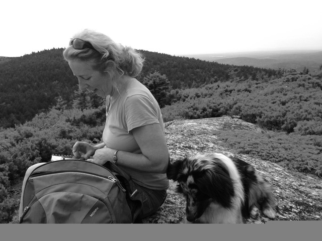 Orgonon: Past, Present, & Future