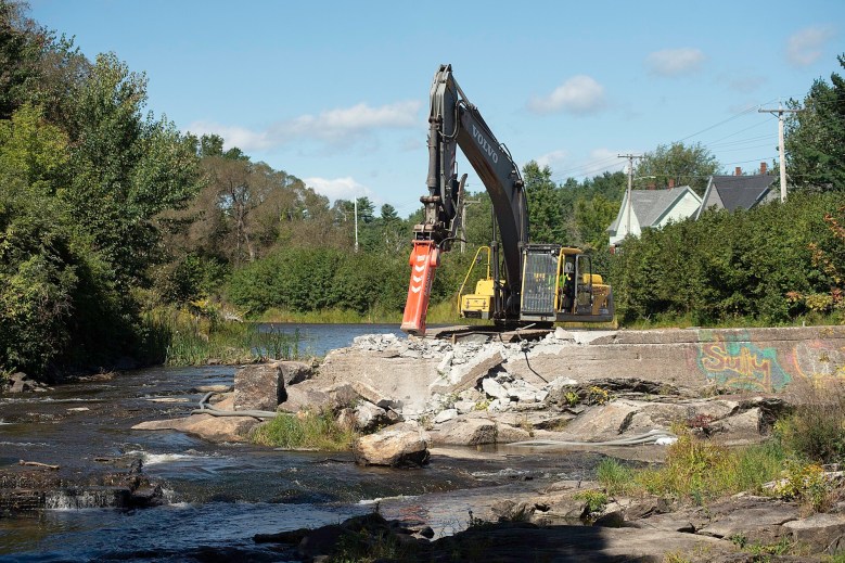 Migratory fish runs to return to Sabattus River following conservation ...