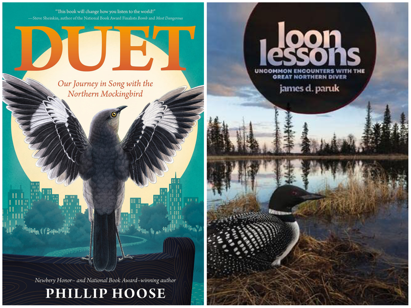 Birding: New books by Maine authors make for interesting reads