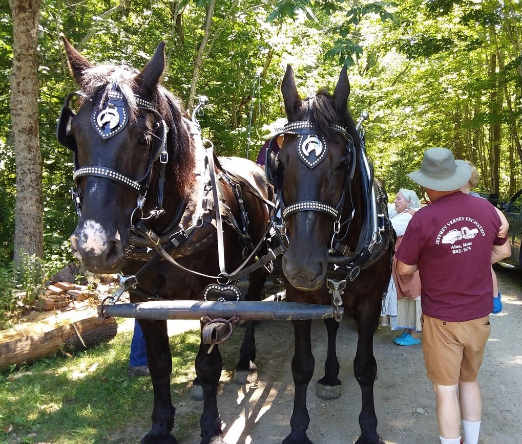 Dresden Summerfest set for July 9