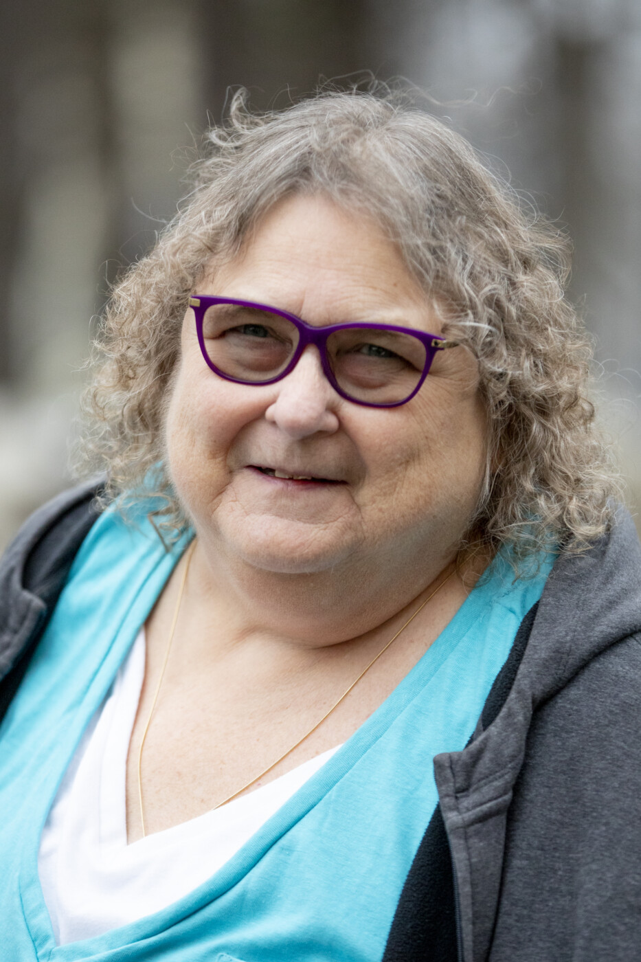 Four candidates running for Bethel select board