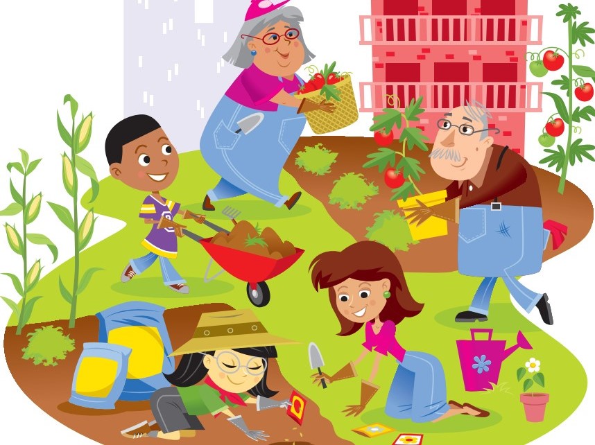 Community Garden – Continue or Not?