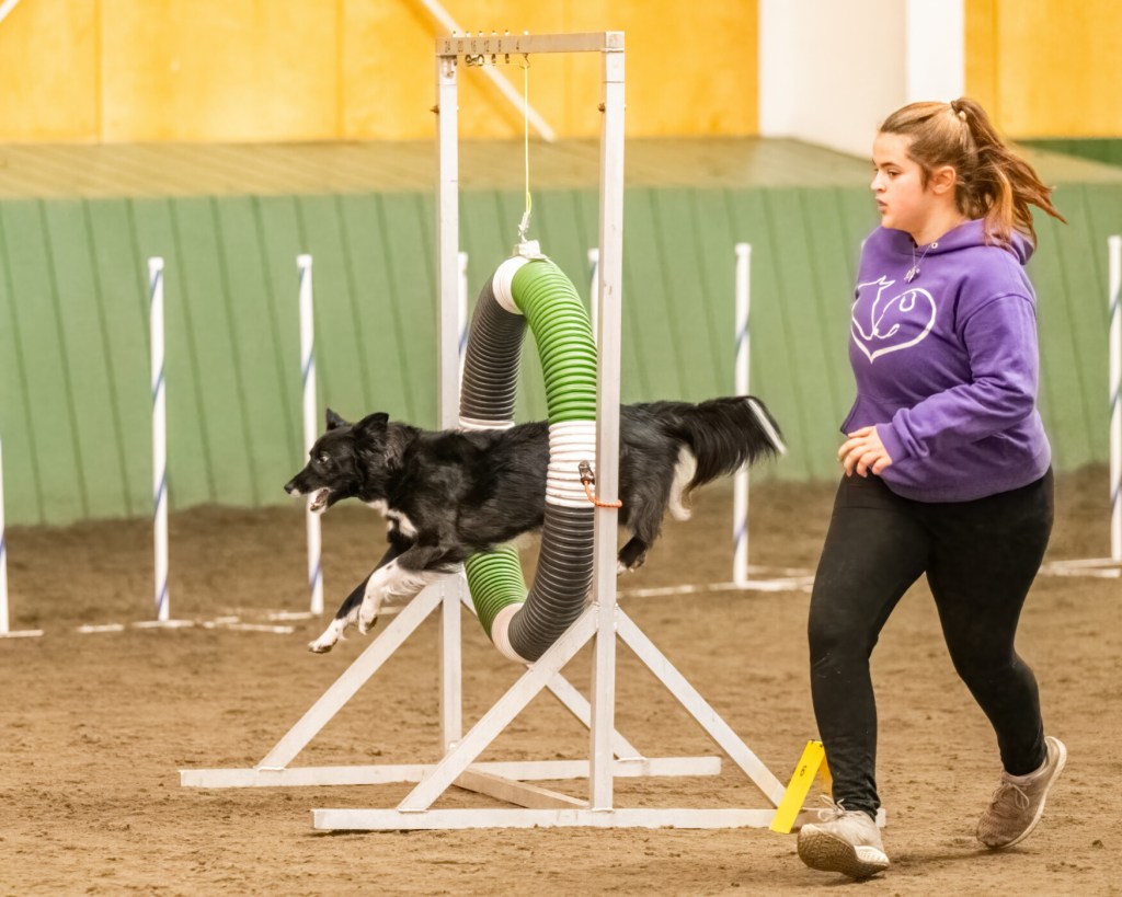 Girl from Gray and her pooches to compete in international dog agility ...