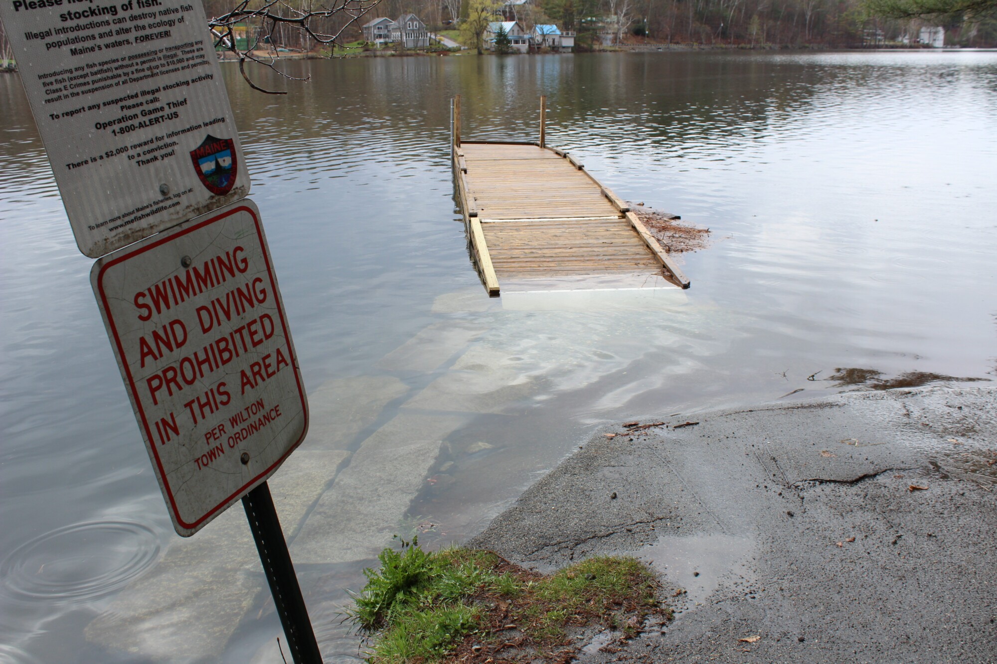 Wilson Stream raging