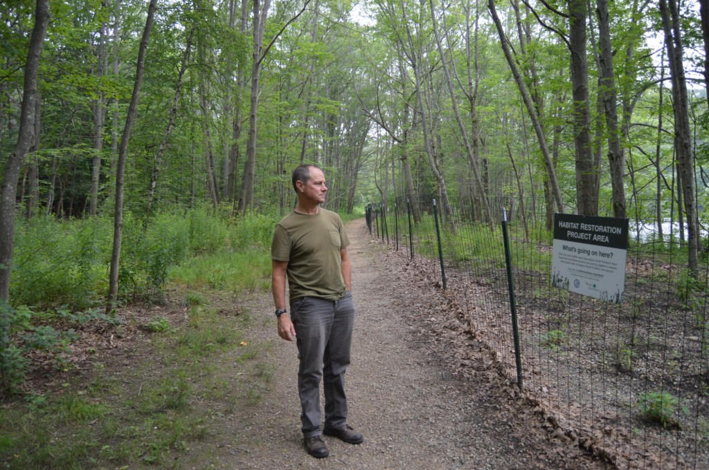 Toxic algae blooms once again infect Hinckley Park ponds in South Portland