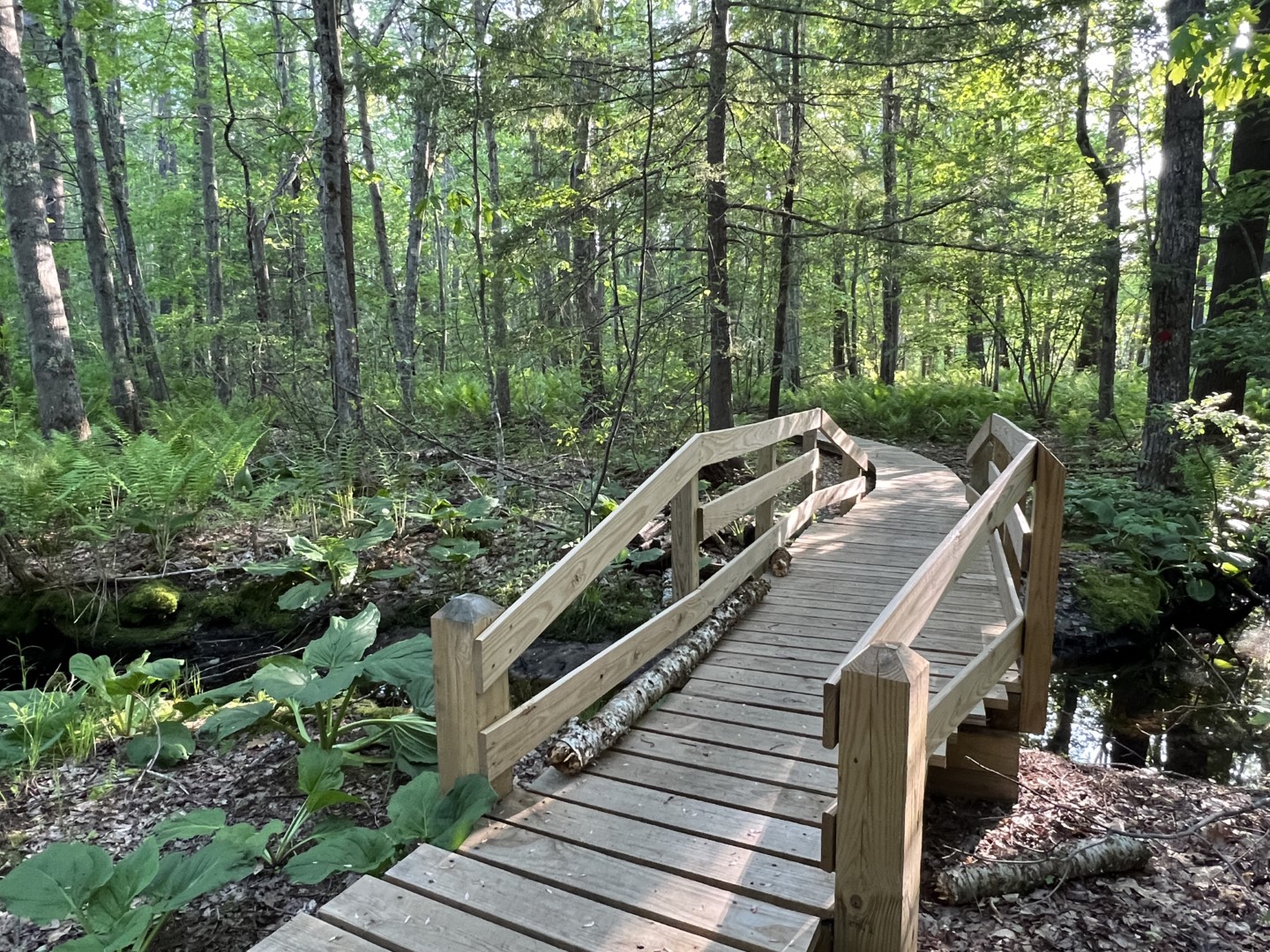 We benefit by bringing health care outdoors | Nature Connects