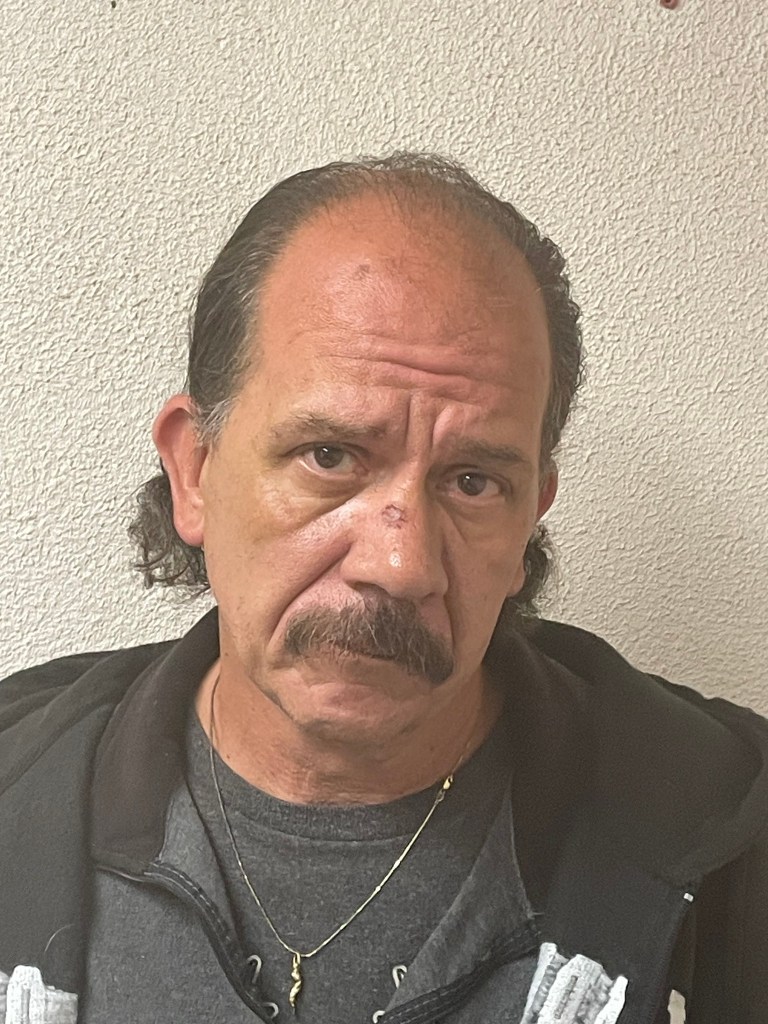 Convicted felon charged with firearms and habitual offender charges