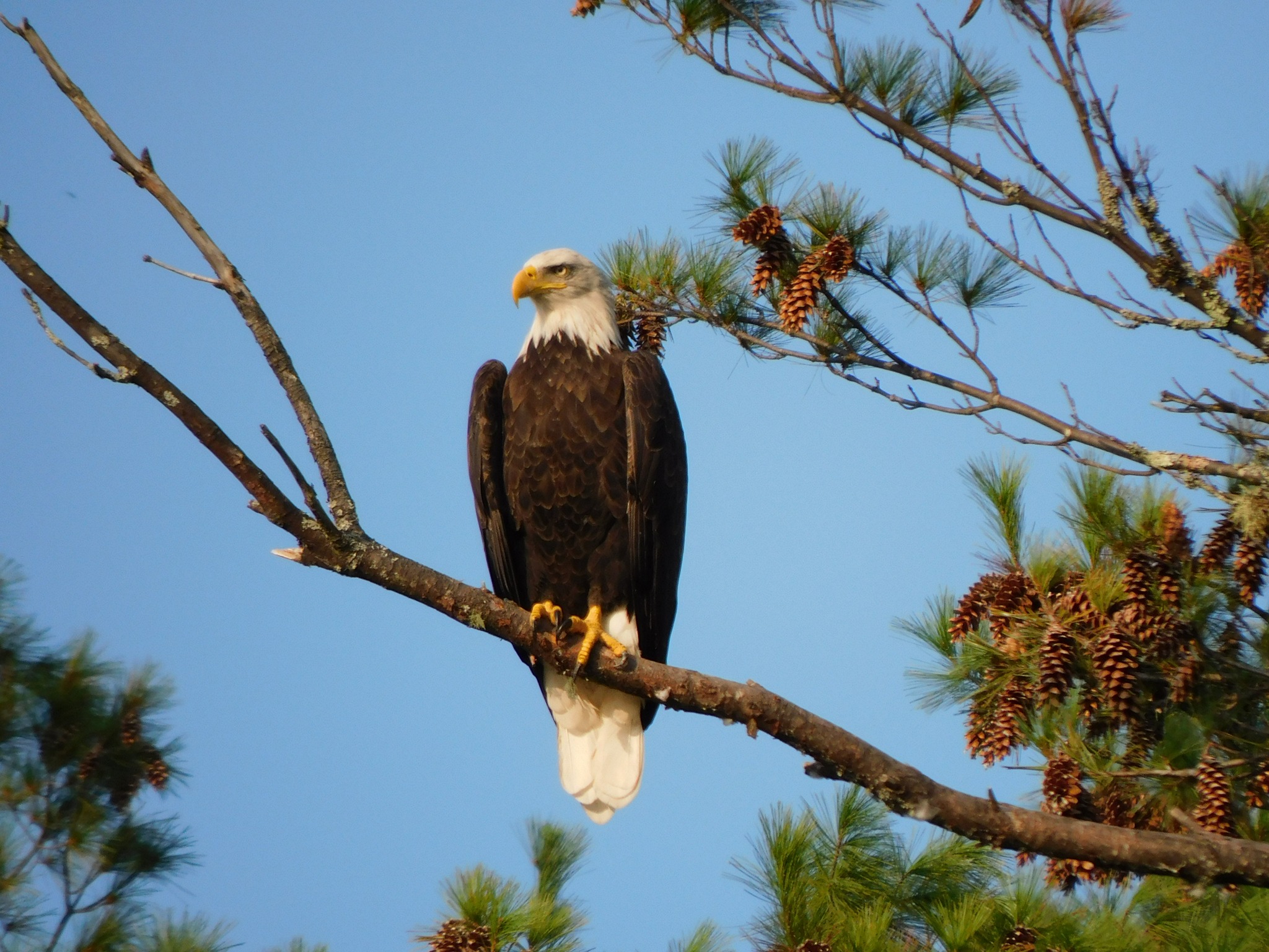 Paddlers enjoy exercise, wildlife and stunning scenery in Oxford County