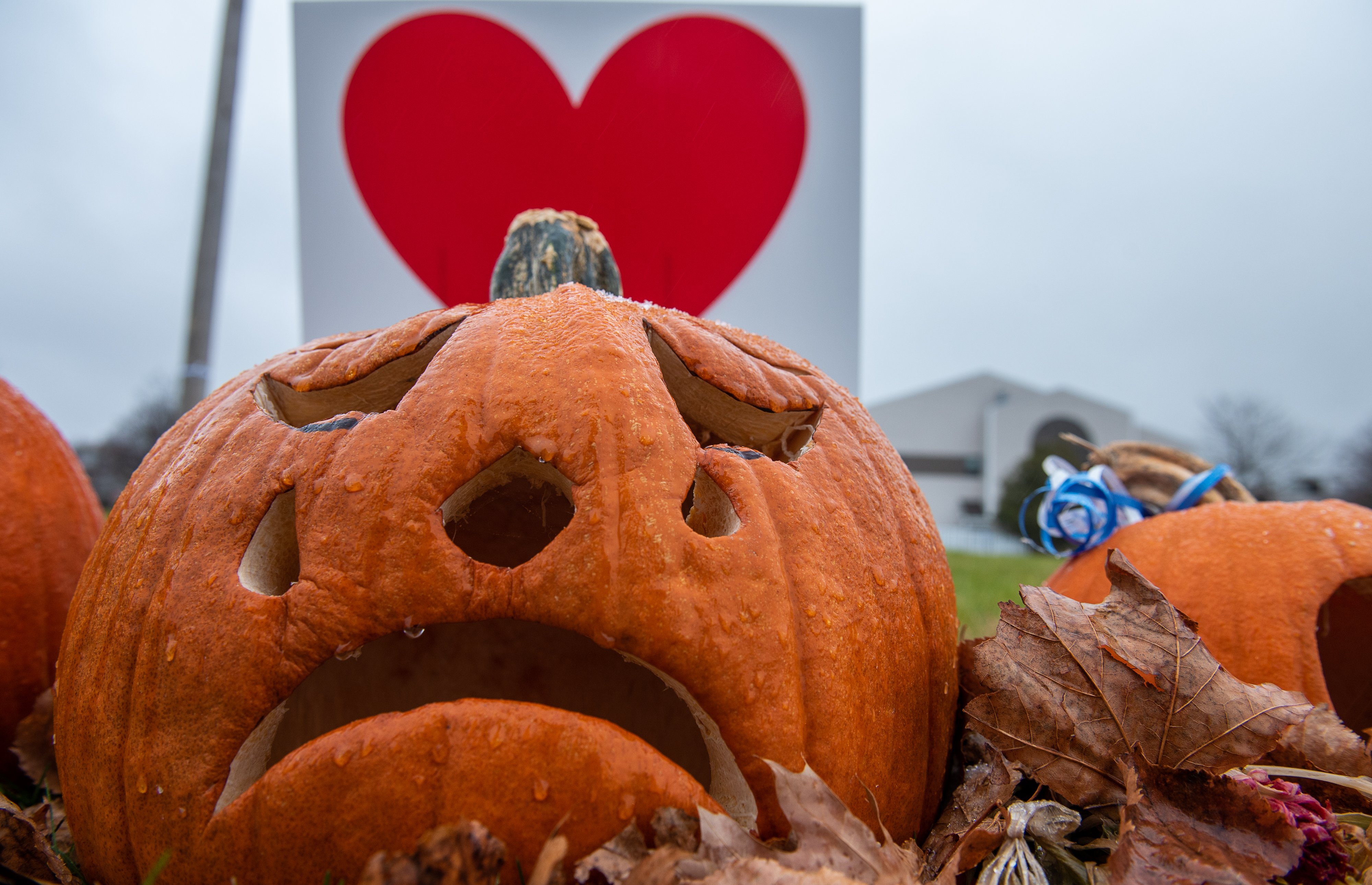 Photo Album: Time and temp take toll on pumpkin memorial