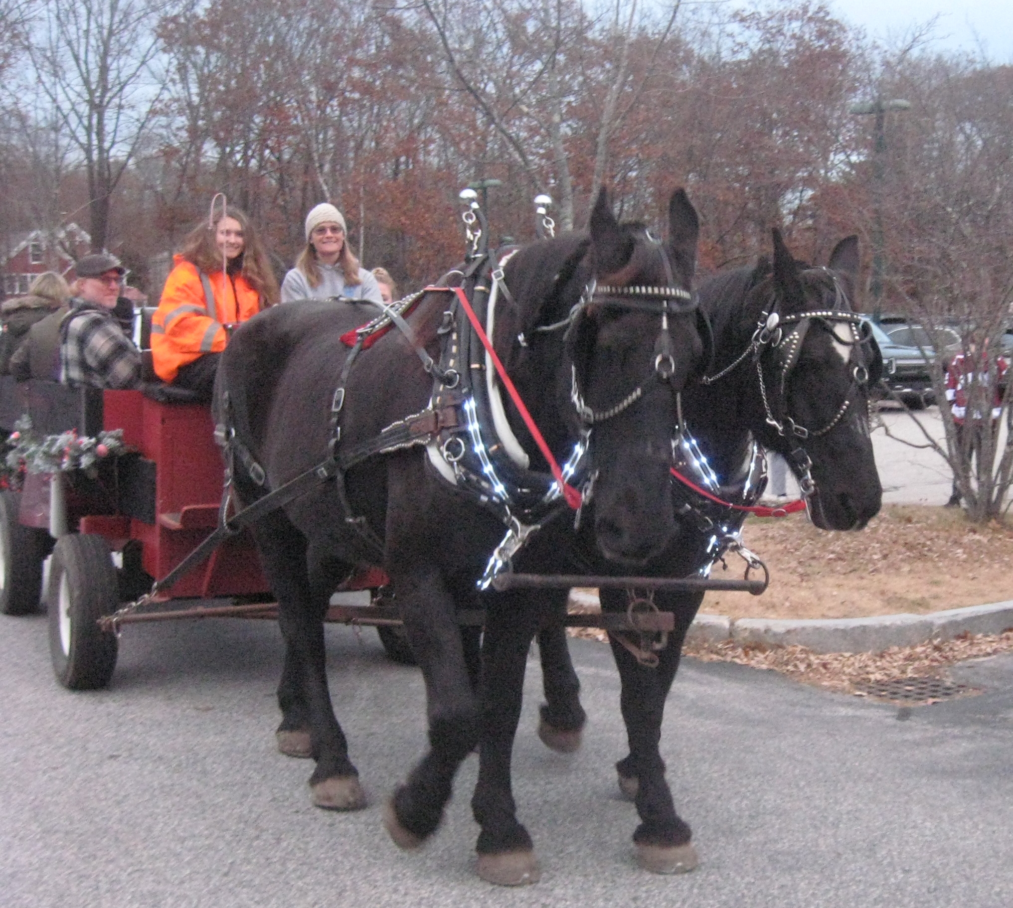 Gorham Notes: Carriage rides, Santa and a parade precede tree lighting