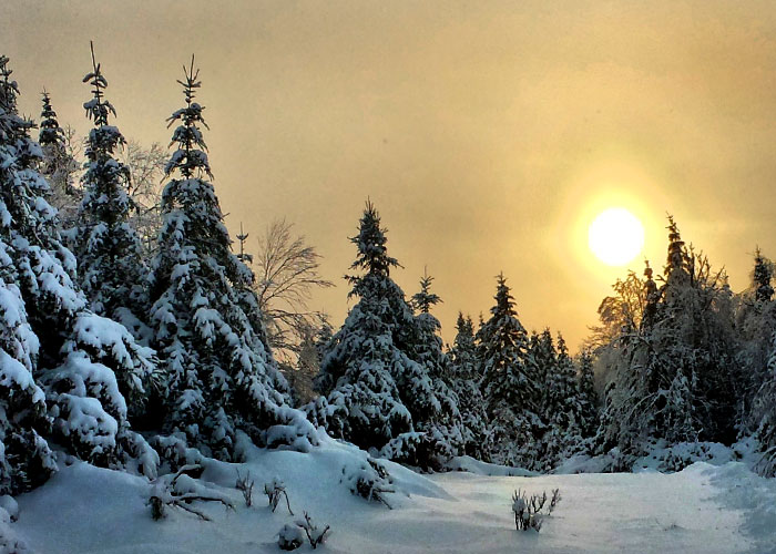 Experience the Magic of Winter in Rangeley: A Retreat for All Ages