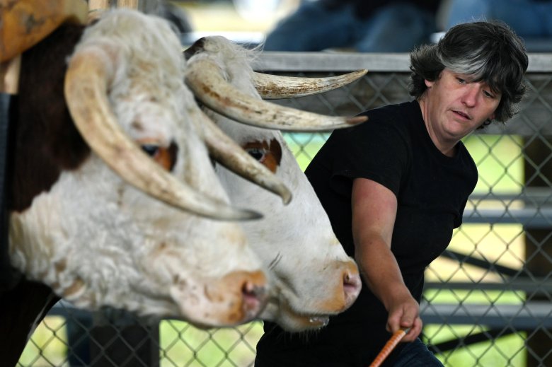 Pittston Fair wraps up annual festivities after rainy weekend