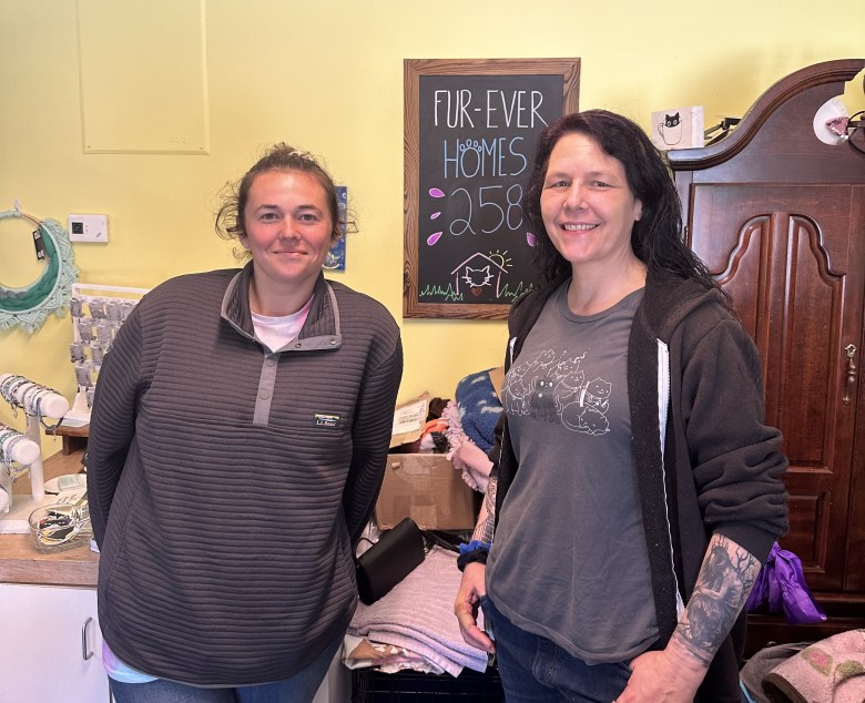 Meow Lounge in Westbrook celebrates one year and 258 cat adoptions